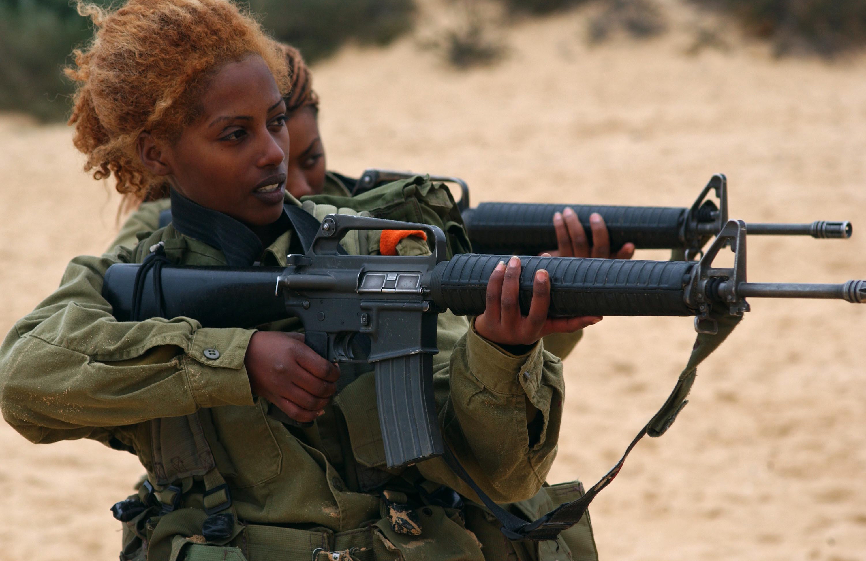 M16: The Weapon That Changed The World