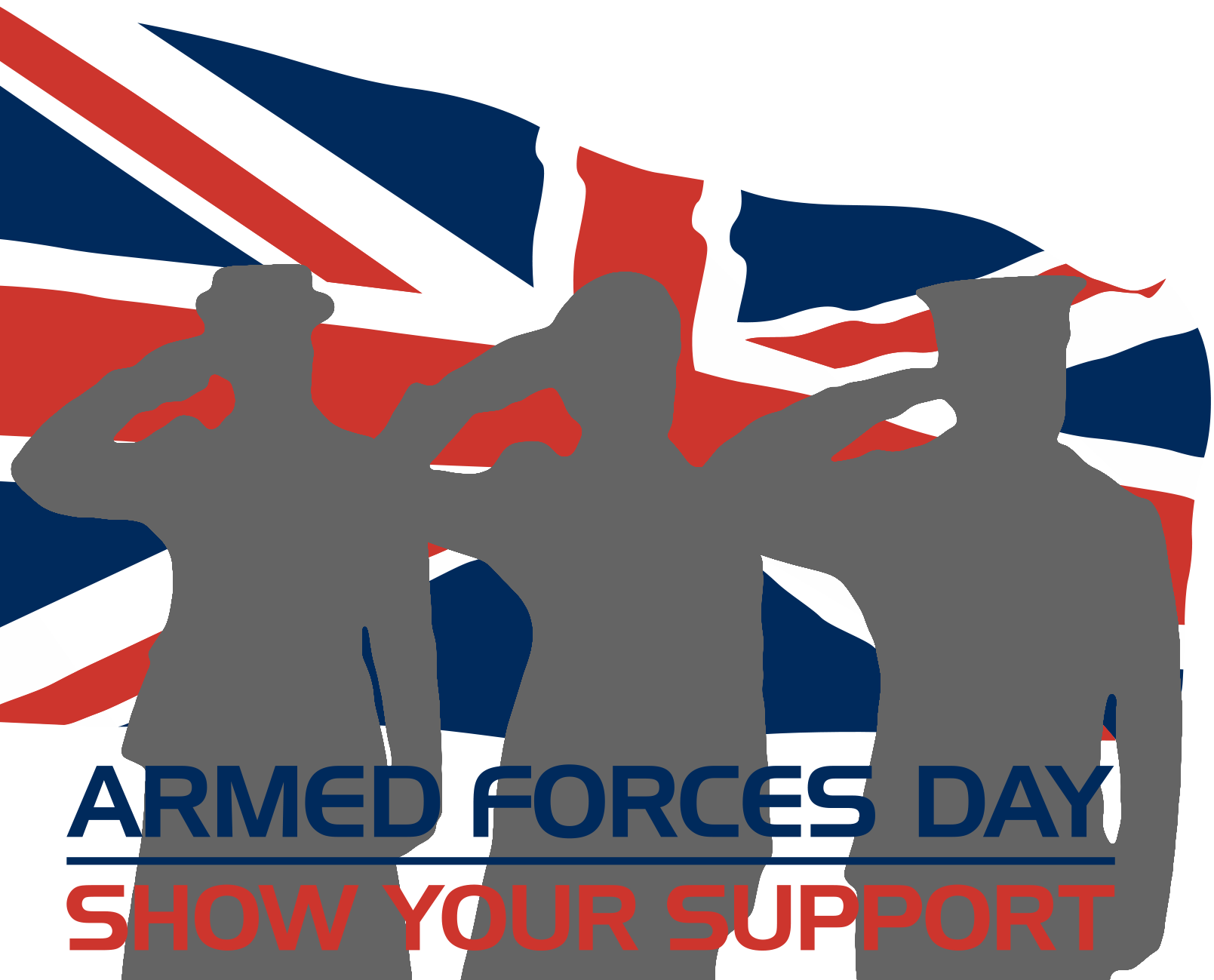Why is Armed Forces Day celebrated and do the public want to thank the ...
