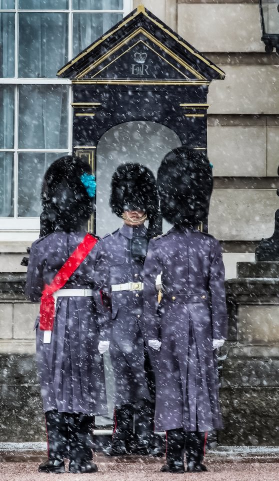 The Bearskin: Everything you need to know