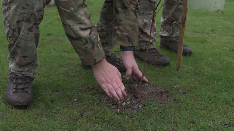 Royal Signals Celebrates Centenary By Planting 100 Trees