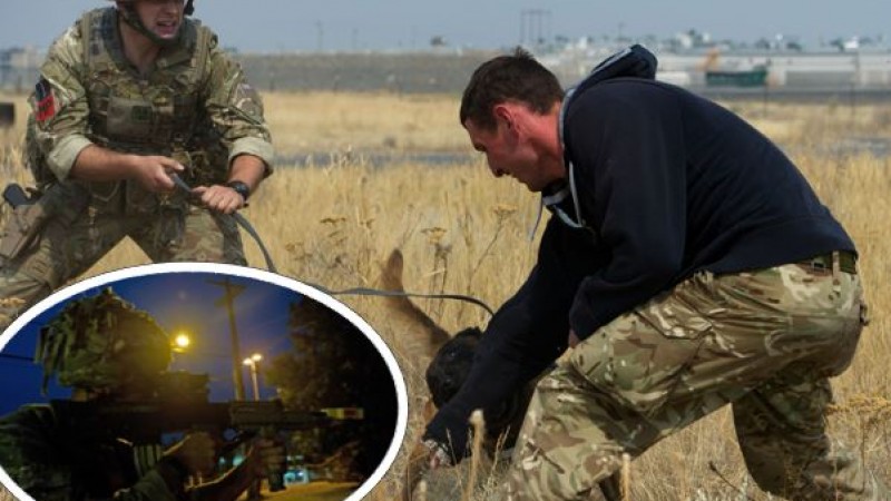 Mobility Guardian: UK Troops Show What They Can Do
