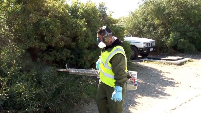 Fighting Mosquitoes In Cyprus
