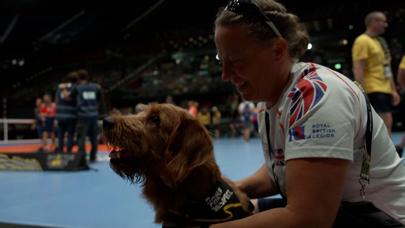 'He's not a pet, he's my partner': How dogs support Invictus Games ...