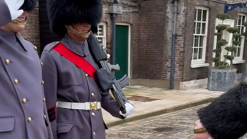 Watch: Heart-warming moment King's Guard salute young fan