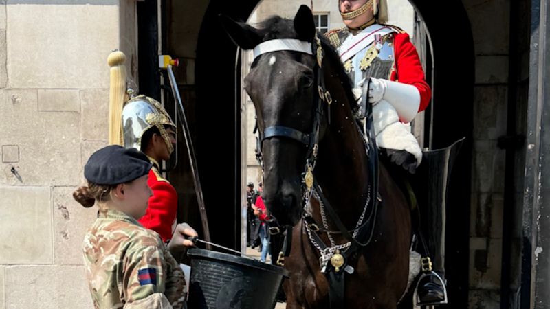 Not too hot to handle: How the Household Cavalry horses remain cool in ...