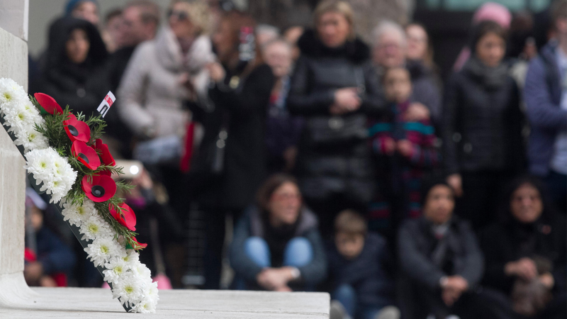 Military widows feel overlooked and let down, report says