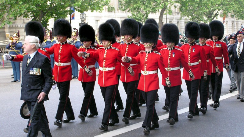 Bearskin Poll: The Results