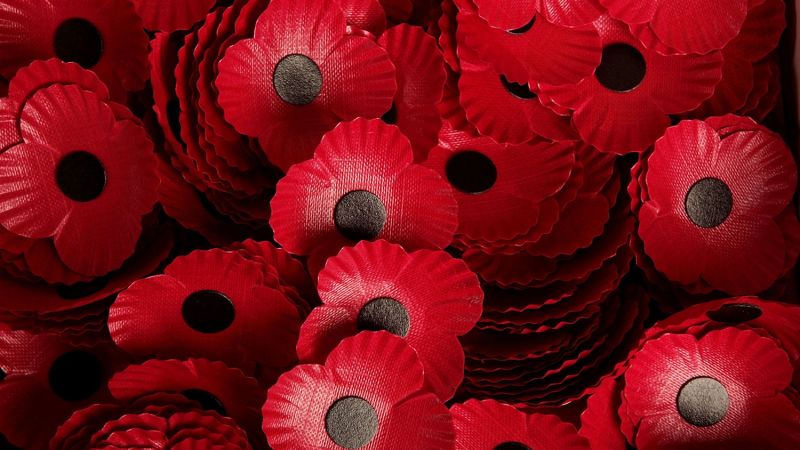 How the Poppy Appeal's popularity in the 1920s led to the unique ...