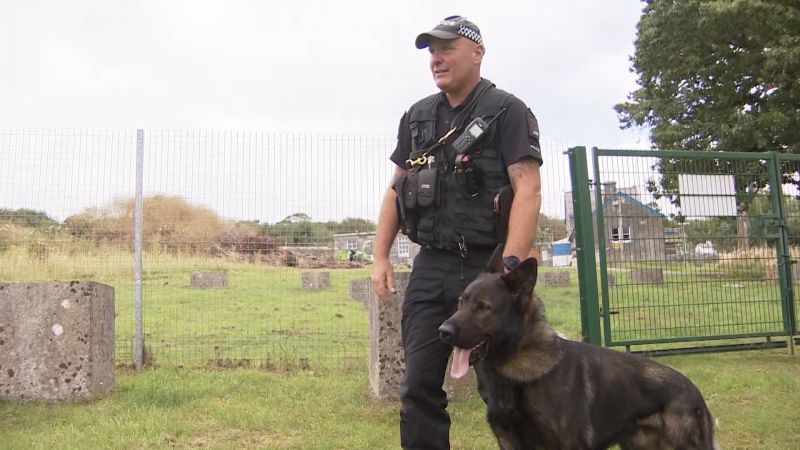 Meet the MOD Police dogs protecting Devonport naval base