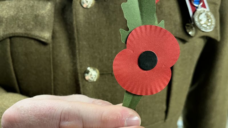 Five things you need to know about the new plastic-free poppy