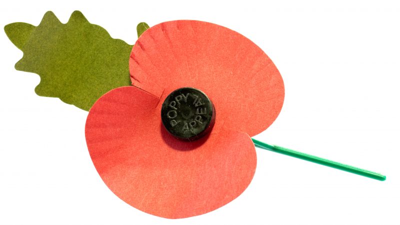 The poppy debate: Does it still carry the same message?