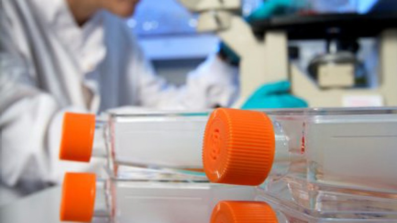 Why Is Porton Down Used To Identify Unknown Substances?