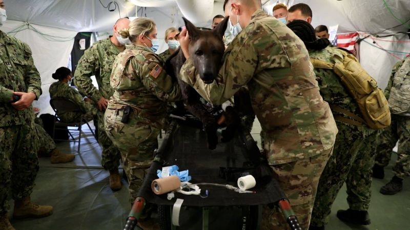 Meet the realistic robot dog enhancing training for US military medics