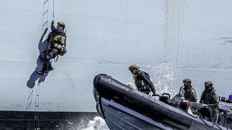 Royal Marines ranks: How do they work?