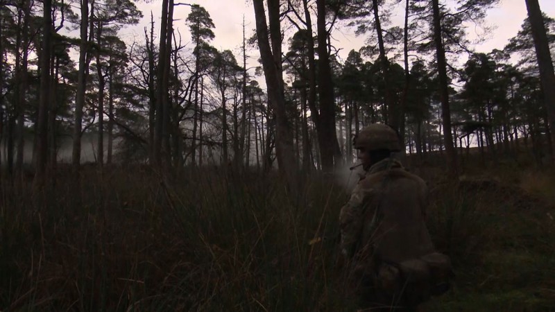 Fighting A Hidden Enemy: Soldiers Take To Forest