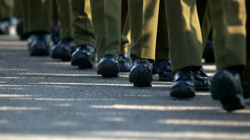 Rats Discovered At Army Barracks Building