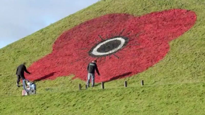 Giant poppy display created on pyramids overlooking motorway