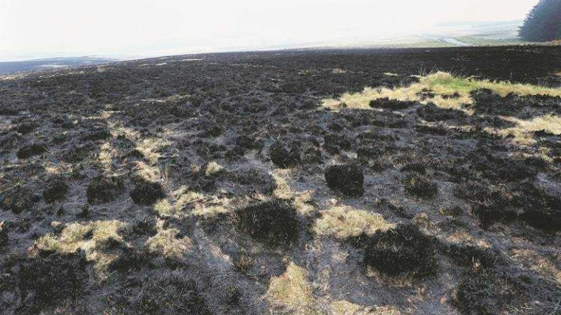 US Military Aircraft Blamed For Brecon Beacons Fire
