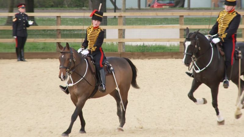King's Troop prepared in case of any coronation procession disruptions