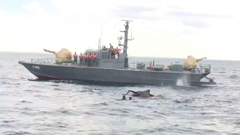 WATCH: Dramatic Rescue As Sri Lankan Navy Saves Elephant From Drowning