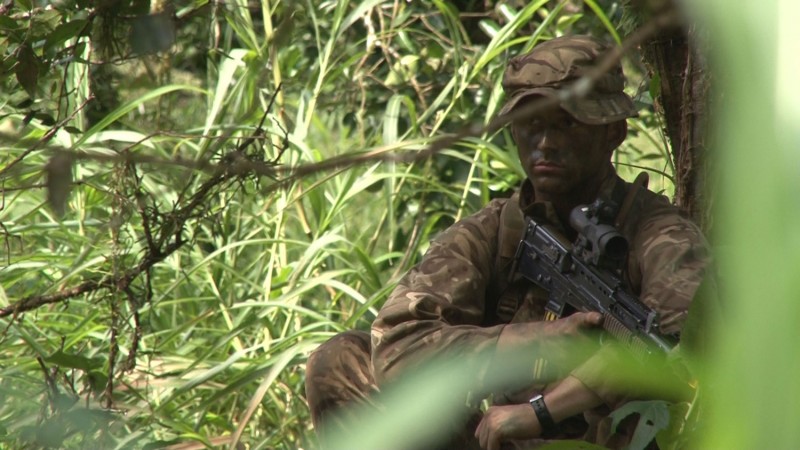 Jungle Combat: Back To Belize