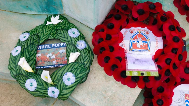 What do the different colour poppies mean?